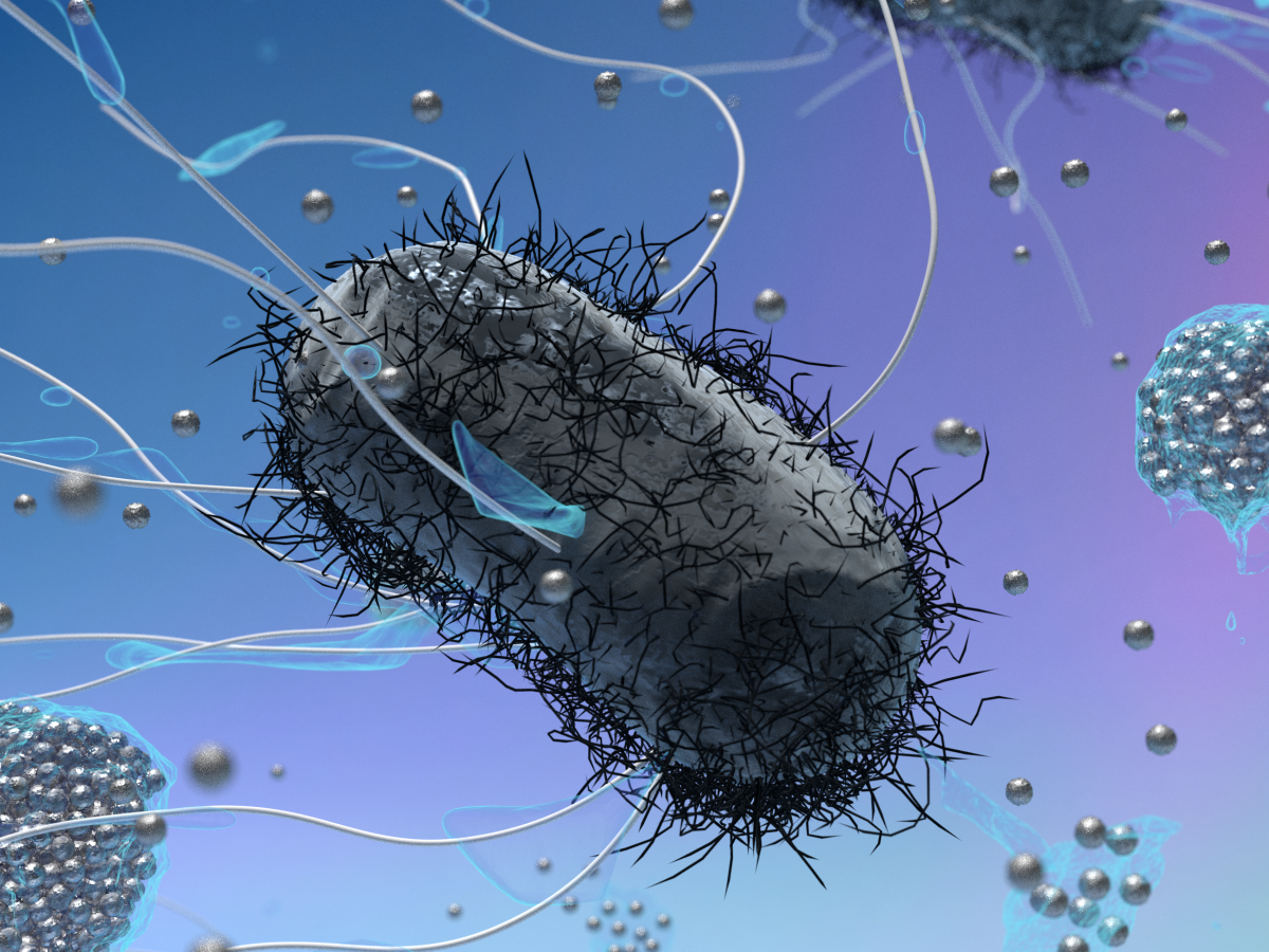 Stříbro je nadějí pro řešení antibiotické krize - bakteriální ...